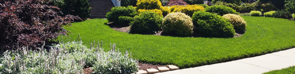 Residential - Commercial Landscaping - Lawn Care